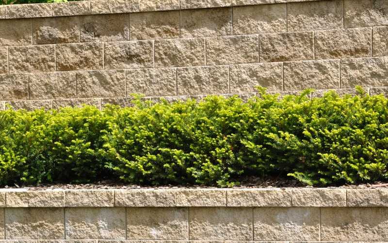 A Small Yard? Slim Retaining Wall Ideas That Won't Eat Your Lawn - MNJ ...